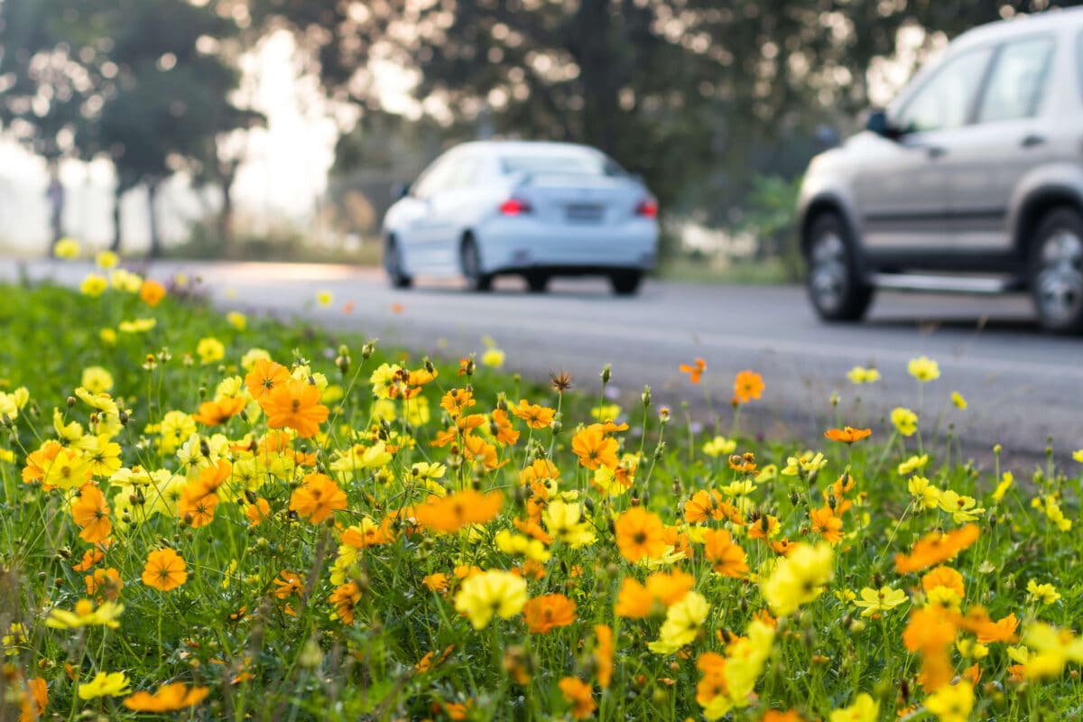 Spring Car Maintenance for Warmer Weather | Rad Air
